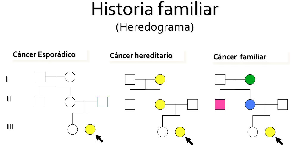 Cáncer Hereditario y Familiar: Cáncer Hereditario y Familiar