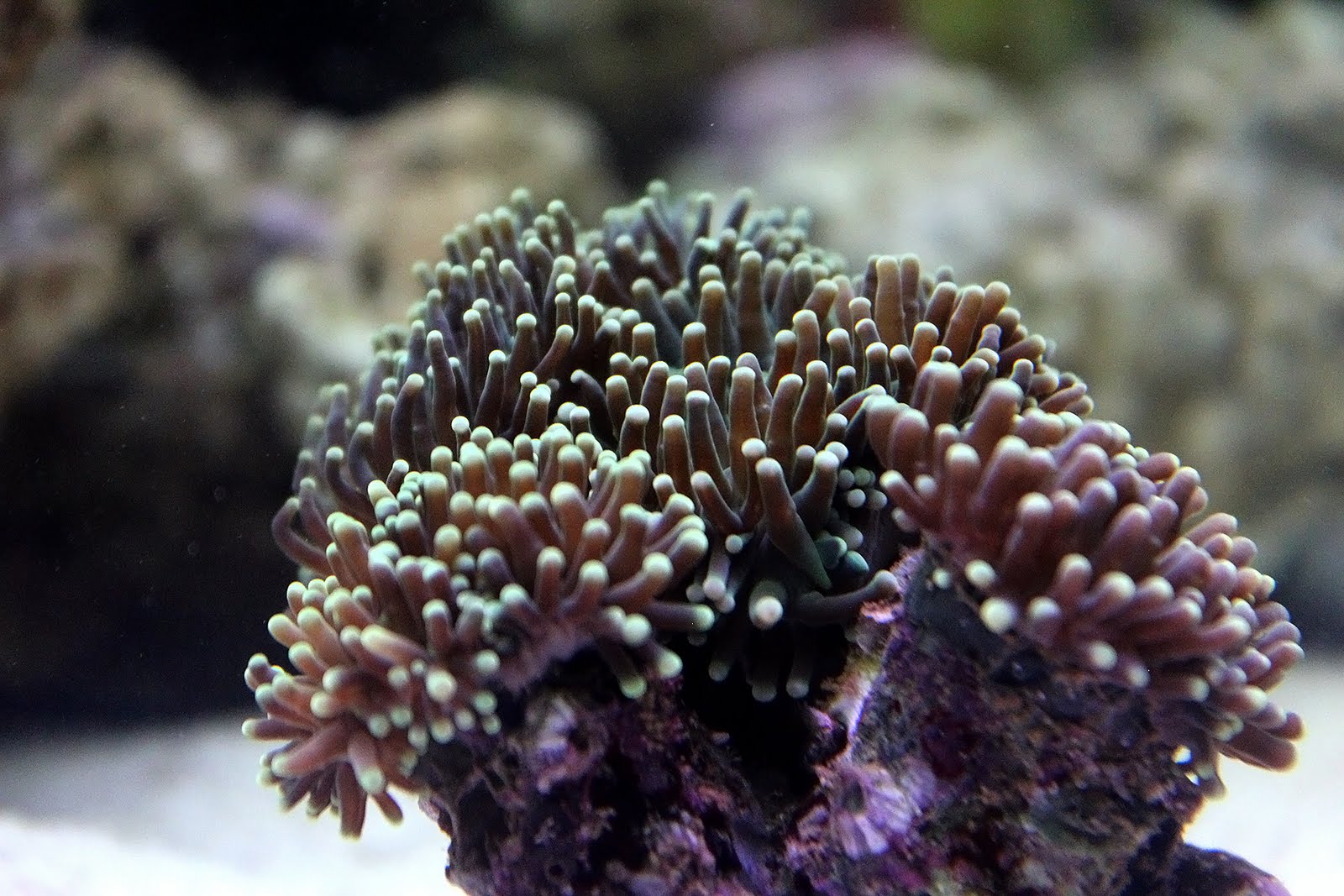 680 Liter: juli 2011