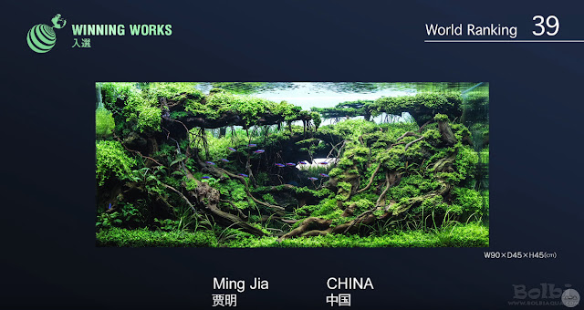 IAPLC 2017 - Top 127 [Photos] ~ Bolbi Aquarium