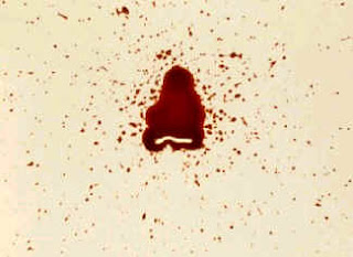 2011 CSI: blood spatter!