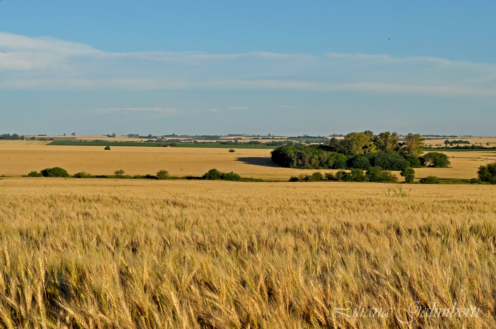 ARTE FOTOGRÁFICO: Paisajes entrerrianos -Entre Ríos- Argentina