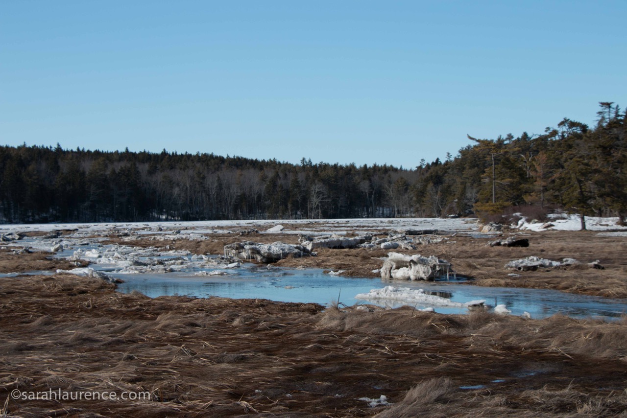 Sarah Laurence: Hiking Morse Mountain, Maine in Spring Snow