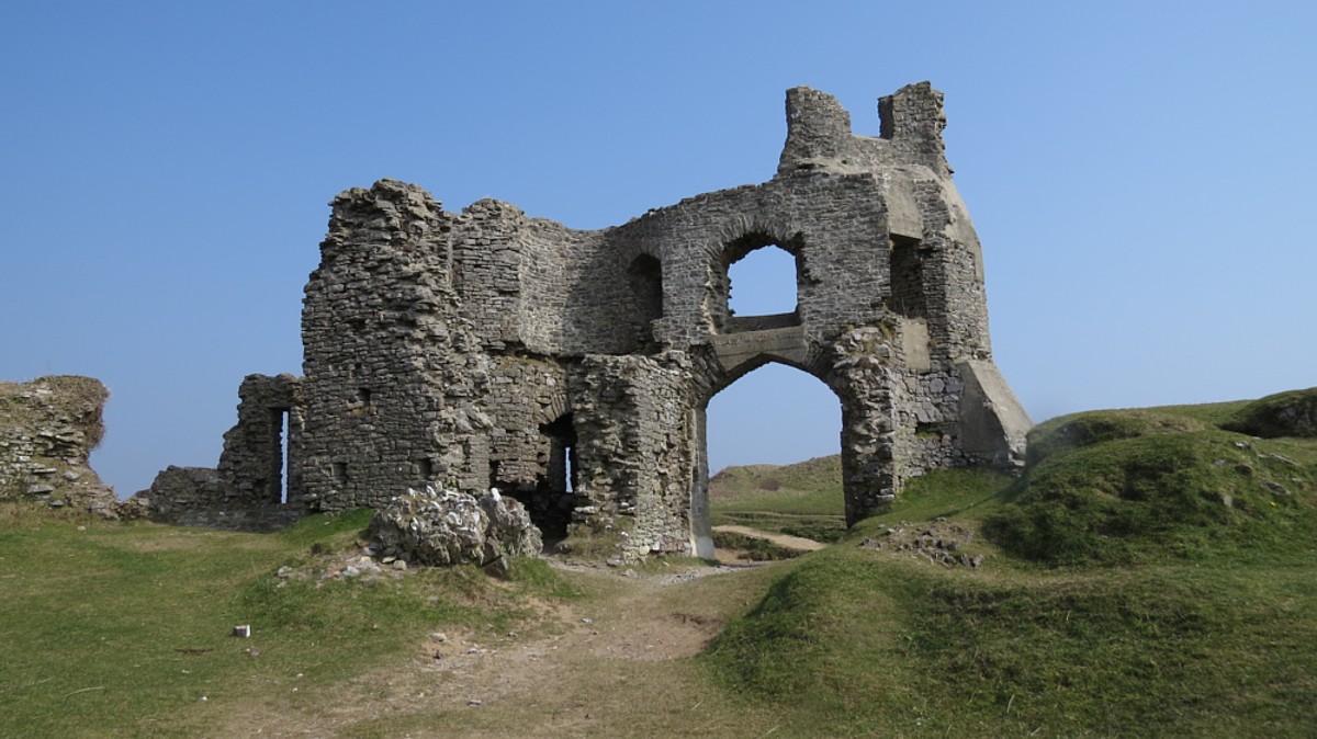 Wildwings and Wanderings: Yellow Whitlowgrass at Pennard Castle