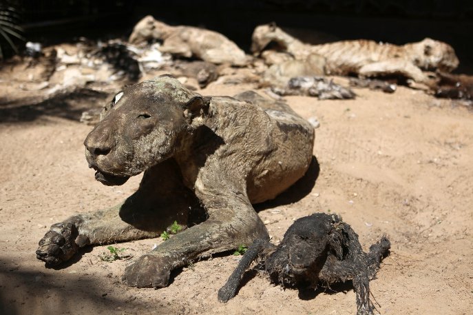 ZINDGI KE KUCH PAAL BHAGWAN KE SAATH AND ALL INFORMATIONS: world some ...