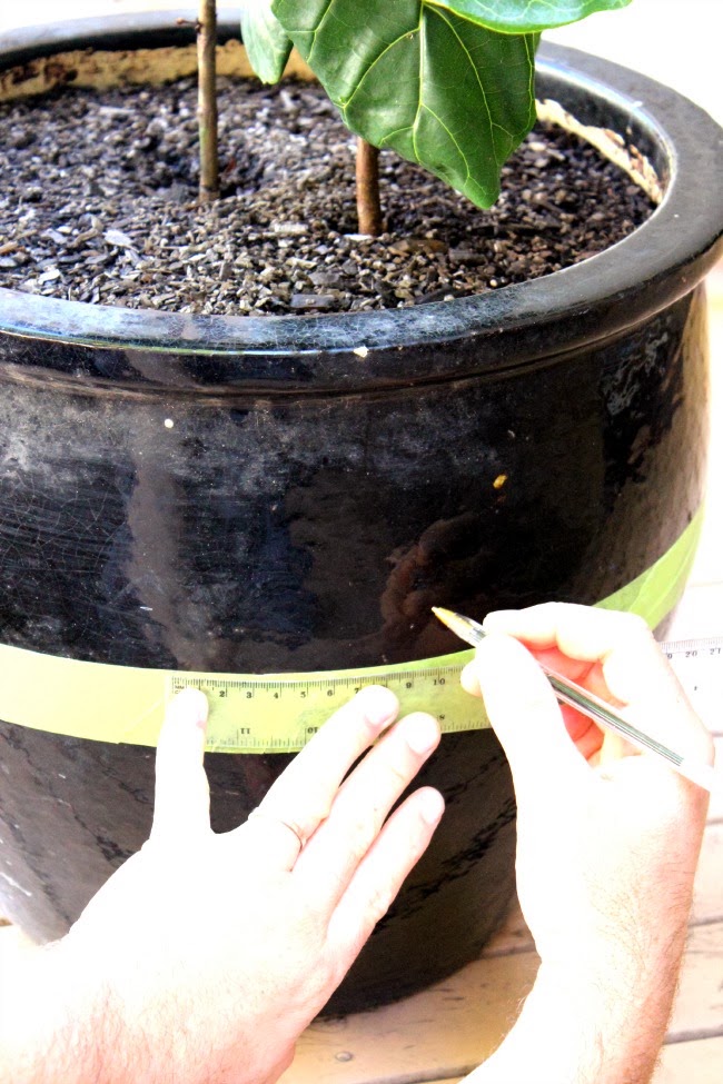 Hunted and Made: DIY Painted Triangle Pot Plant & Fiddle Leaf Fig