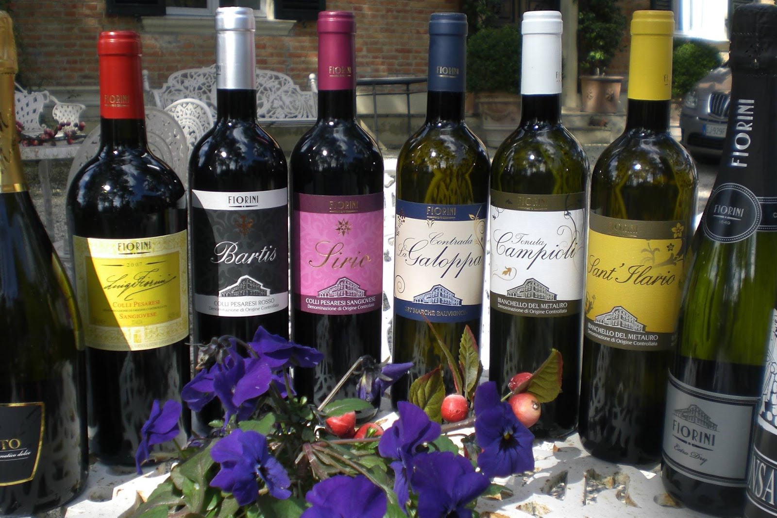 My delicious Marche: Fiorini wines: Drie generaties wijn in Barchi ...