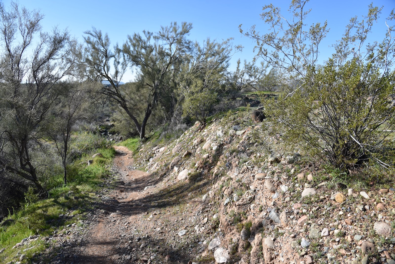 Arizona Hiking: Badger Brawl-Cliff-Walk-Esplanade Loop