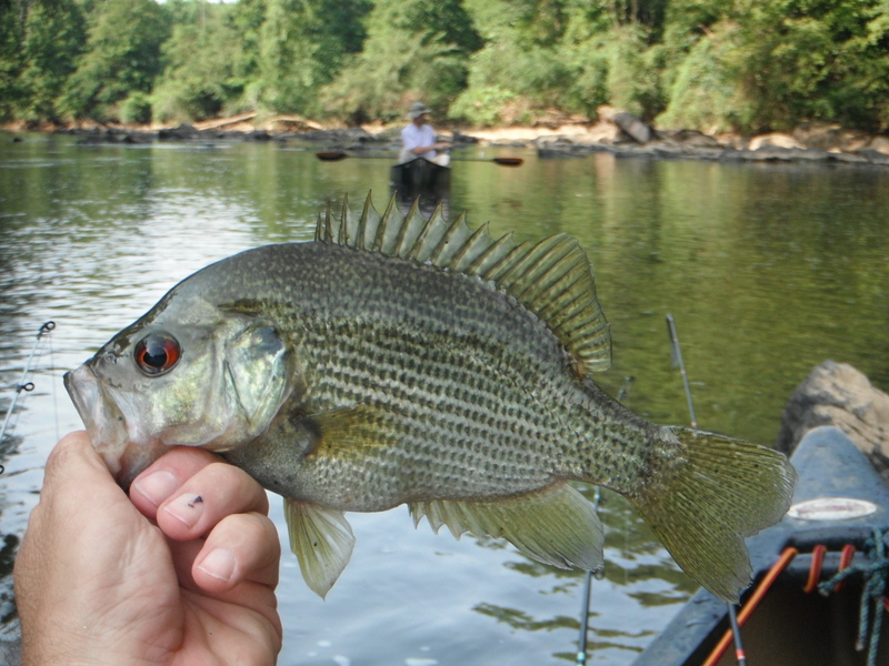 North Carolina River Fishing and Canoeing with Mack: 4 Citation Roanoke ...