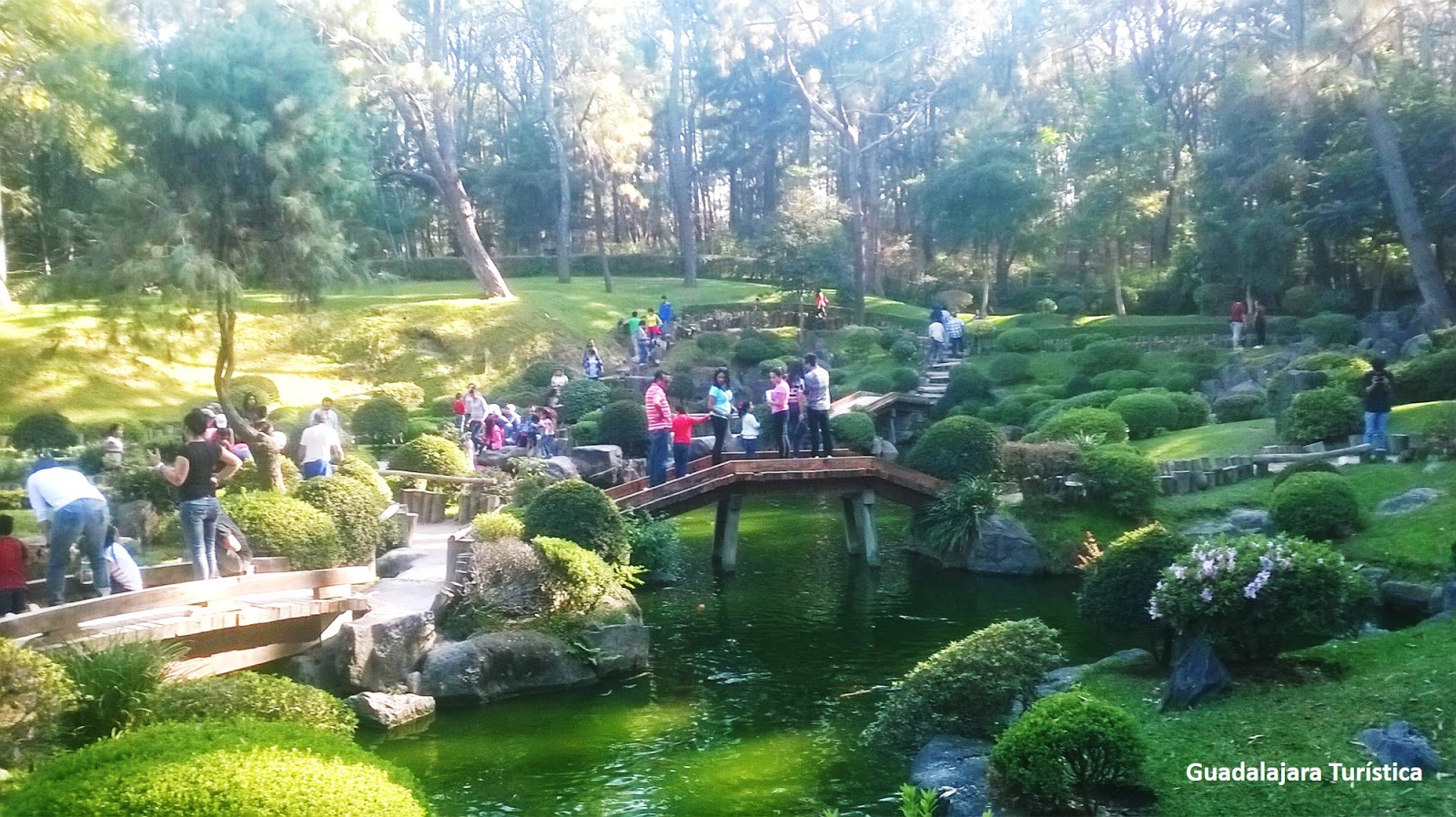 Agencia de Viajes Guadalajara Turística: Bosque de los Colomos
