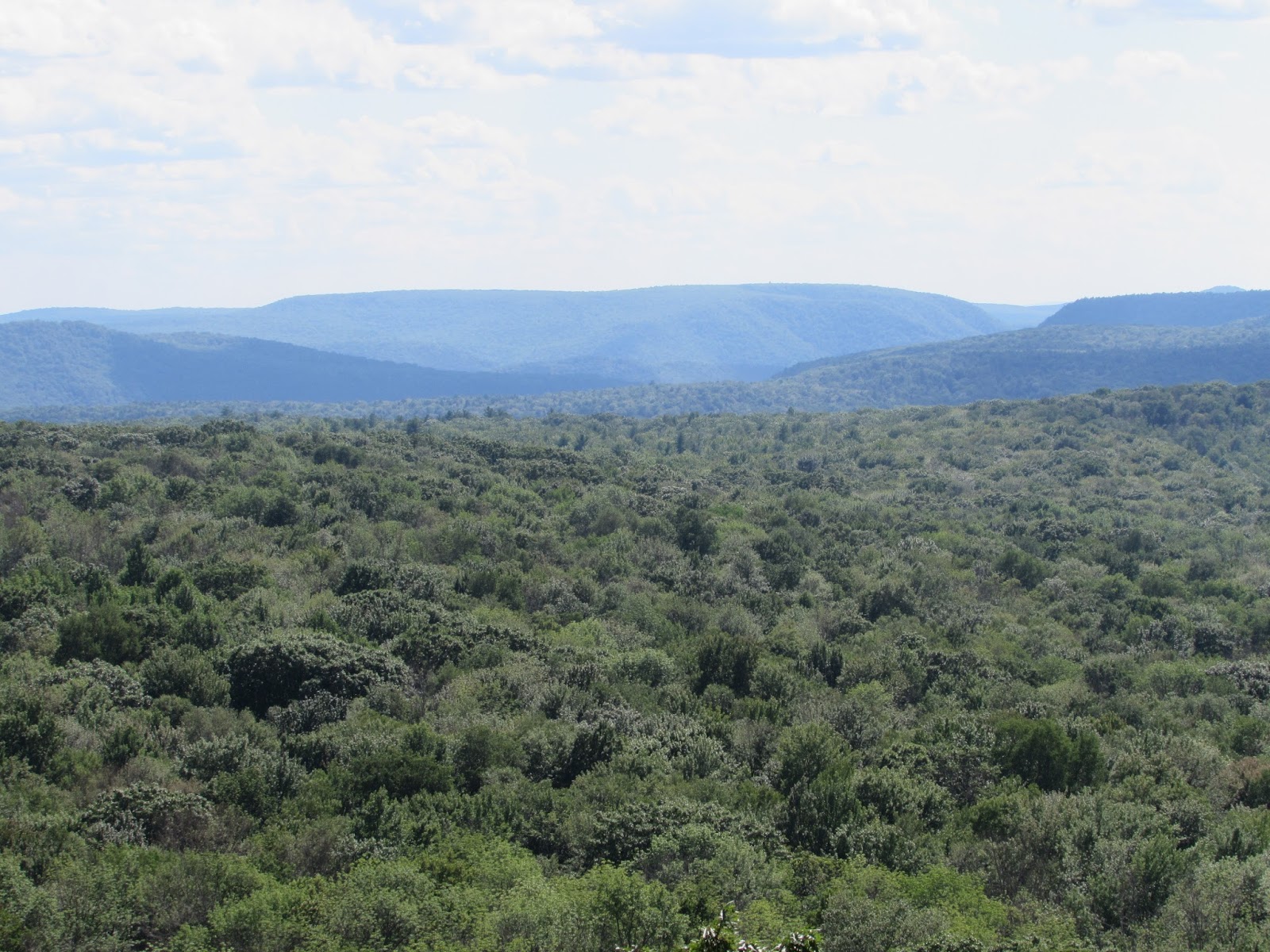 Amazing High Knob Overlook in Summer | Interesting Pennsylvania and Beyond
