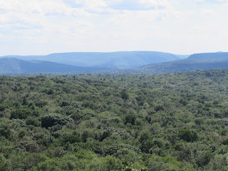 Amazing High Knob Overlook in Summer | Interesting Pennsylvania and Beyond