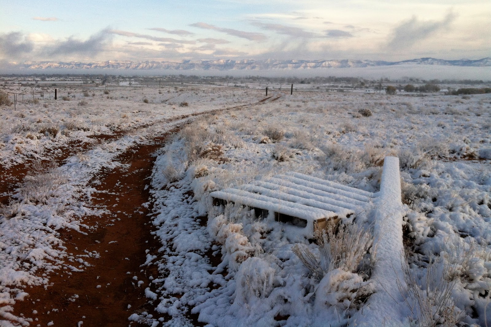 Skunk Tracks: Winter Finds Grand Junction