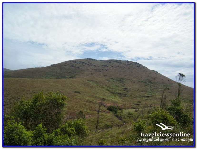 പ്രകൃതിയിലേക്ക് ഒരു യാത്ര (a travel towards NATURE): PULLUMEDU a unique ...