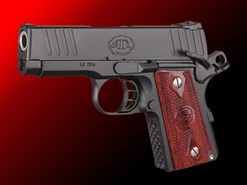 The Michael Bane Blog: Little 1911s