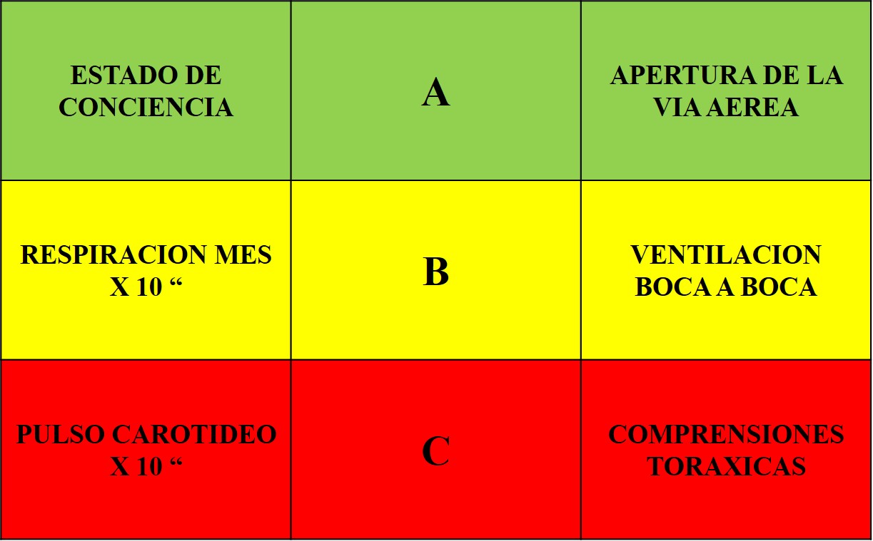 ENFERMERIA: REANIMACION CARDIOPULMONAR