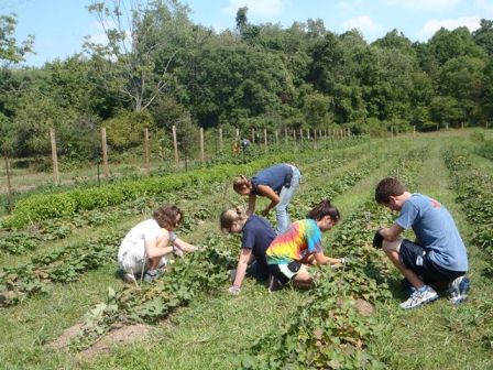 Volunteer Opportunities at the Farm - JOBS FARMS
