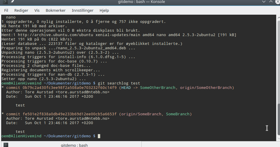 Coding Grounds: Setting up a Git alias with a shell function