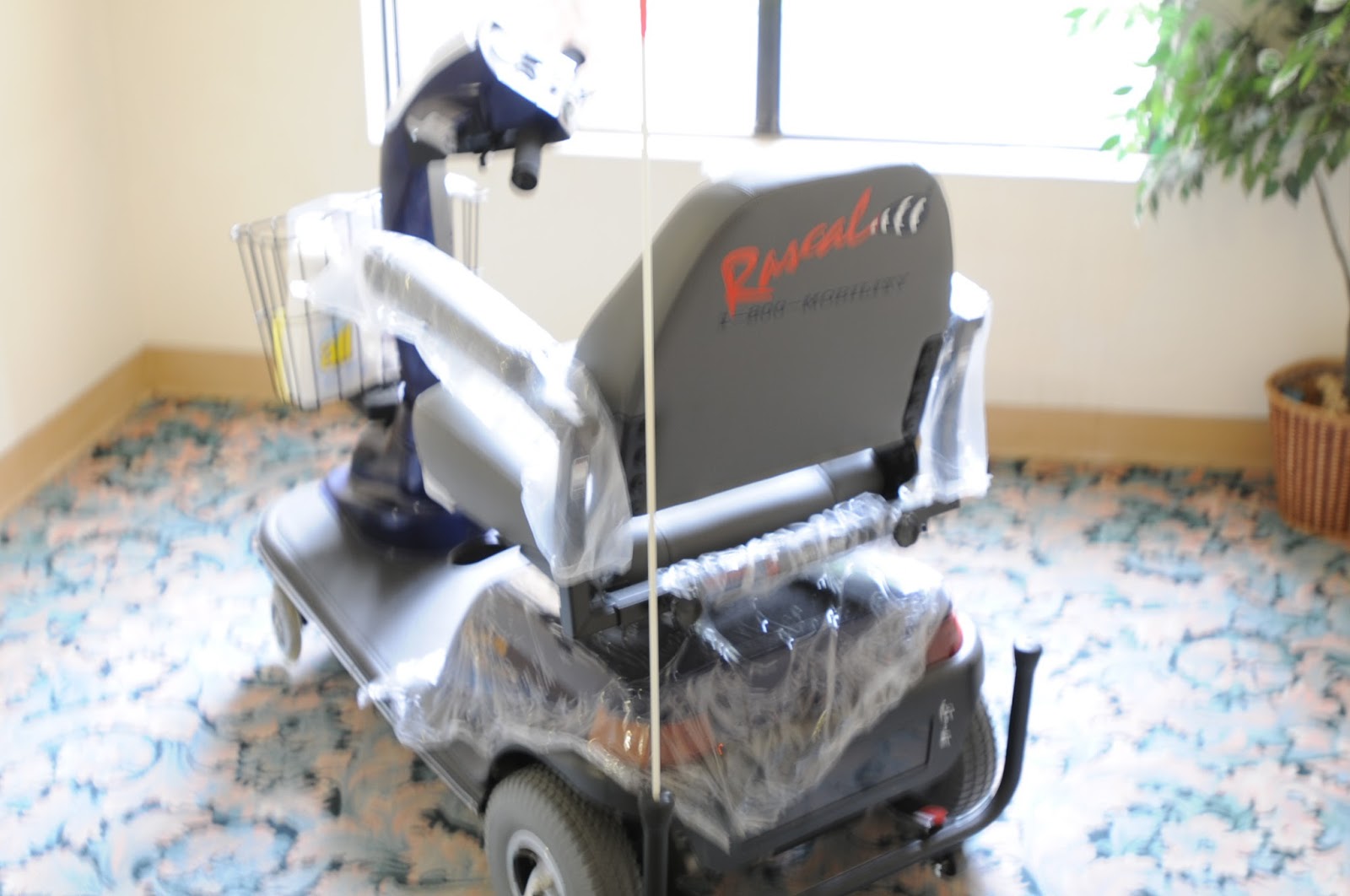 Lee Sells Rascal Scooters and Other Stuff