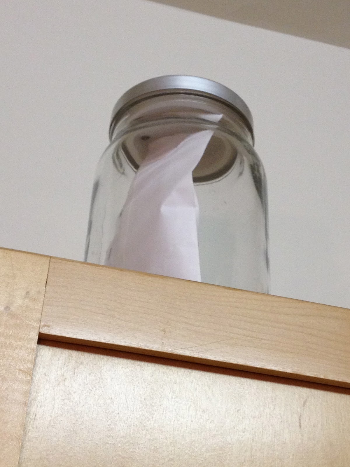 The Howell Happenings...Our Happily Haphazard Life