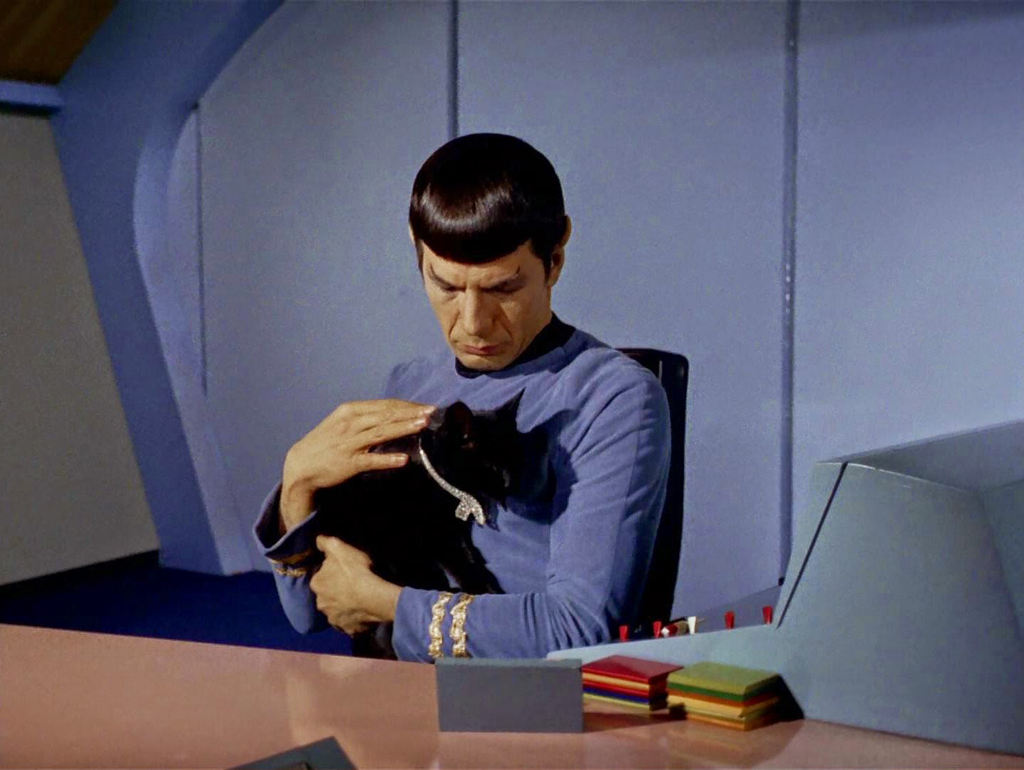 khanzilla: "What do you make of the cat, Mr. Spock?"