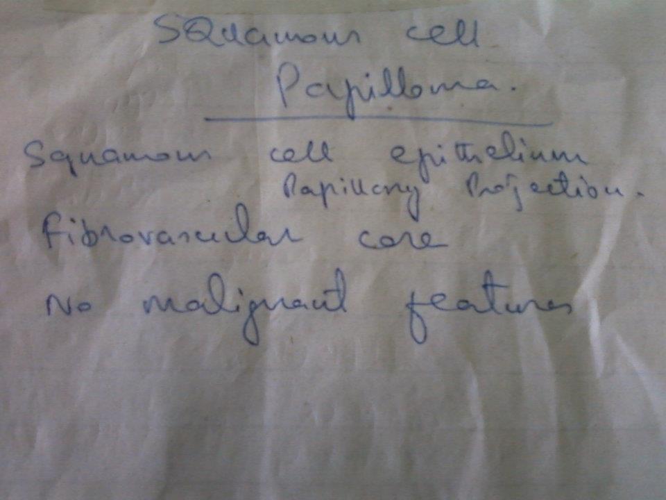 Medical Education for Students: Gross Specimens General Pathology (50 ...