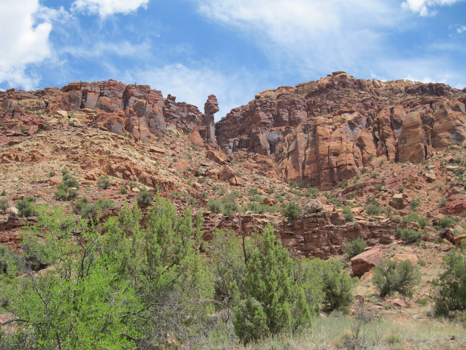 Four Corners Hikes-Dolores River Valley Colorado: Dolores River at Big ...