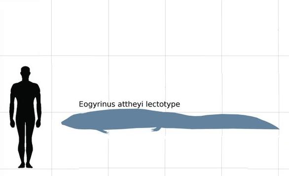 Blog de la Vida Prehistórica: Eogyrinus