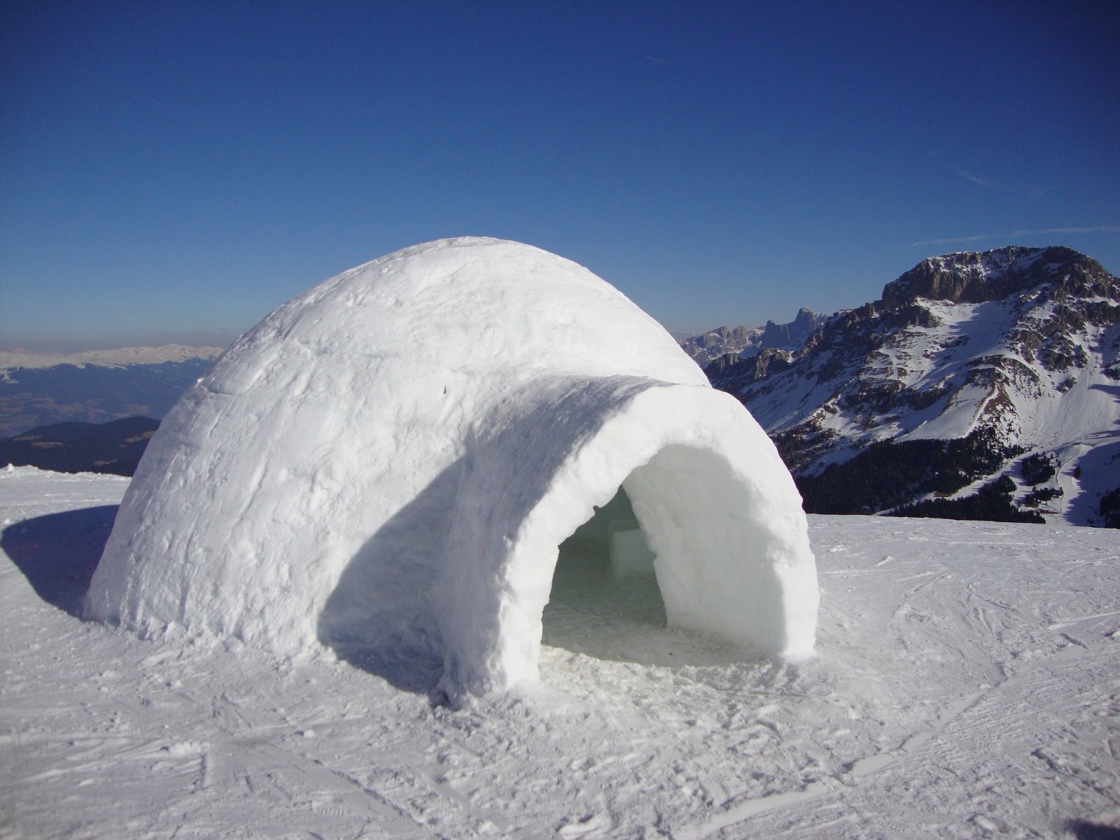 S&ARCH: # IGLOO