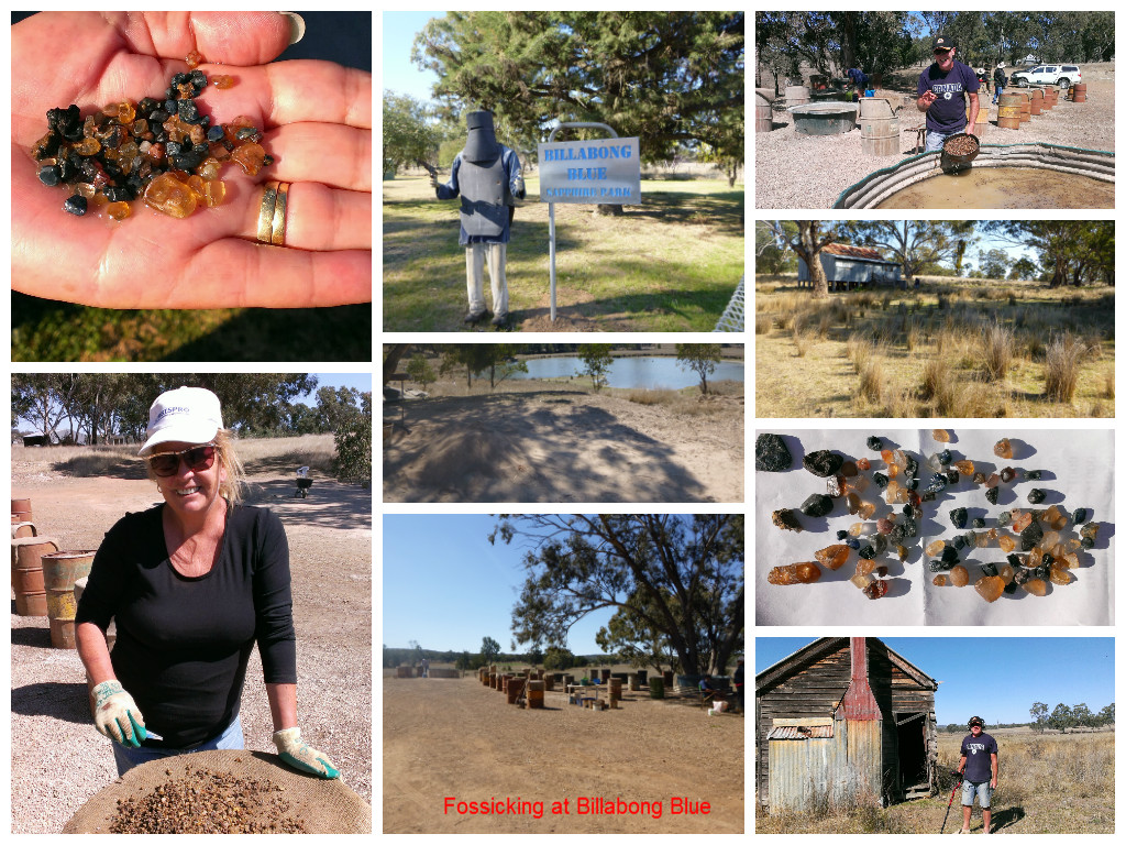 NINKERS: Heading Down Fossickers Way: North West NSW