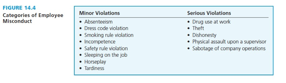 Basics of Human Resource Management: CASE 2