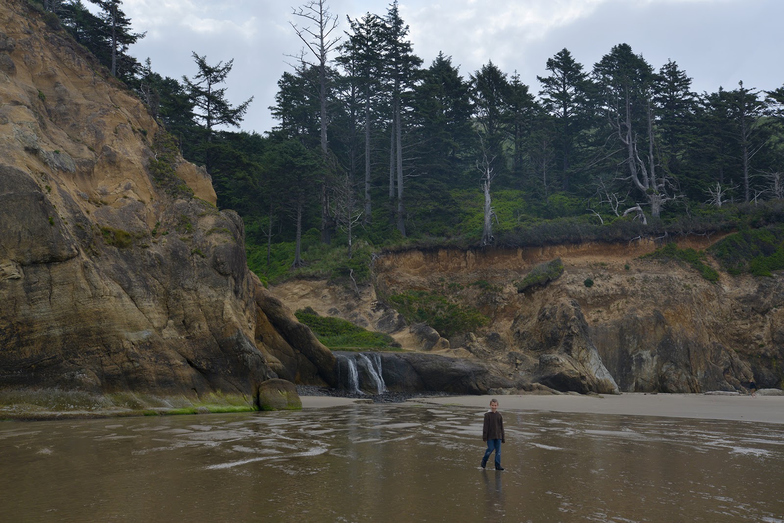 Oregon Coast Tide Pools at Hug Point and Cannon Beach - light-in-leaves