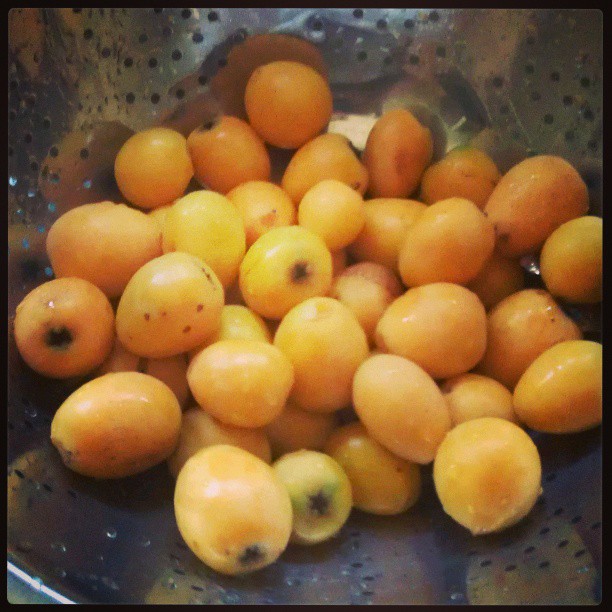 Fabulous foodie finds for the everyday family