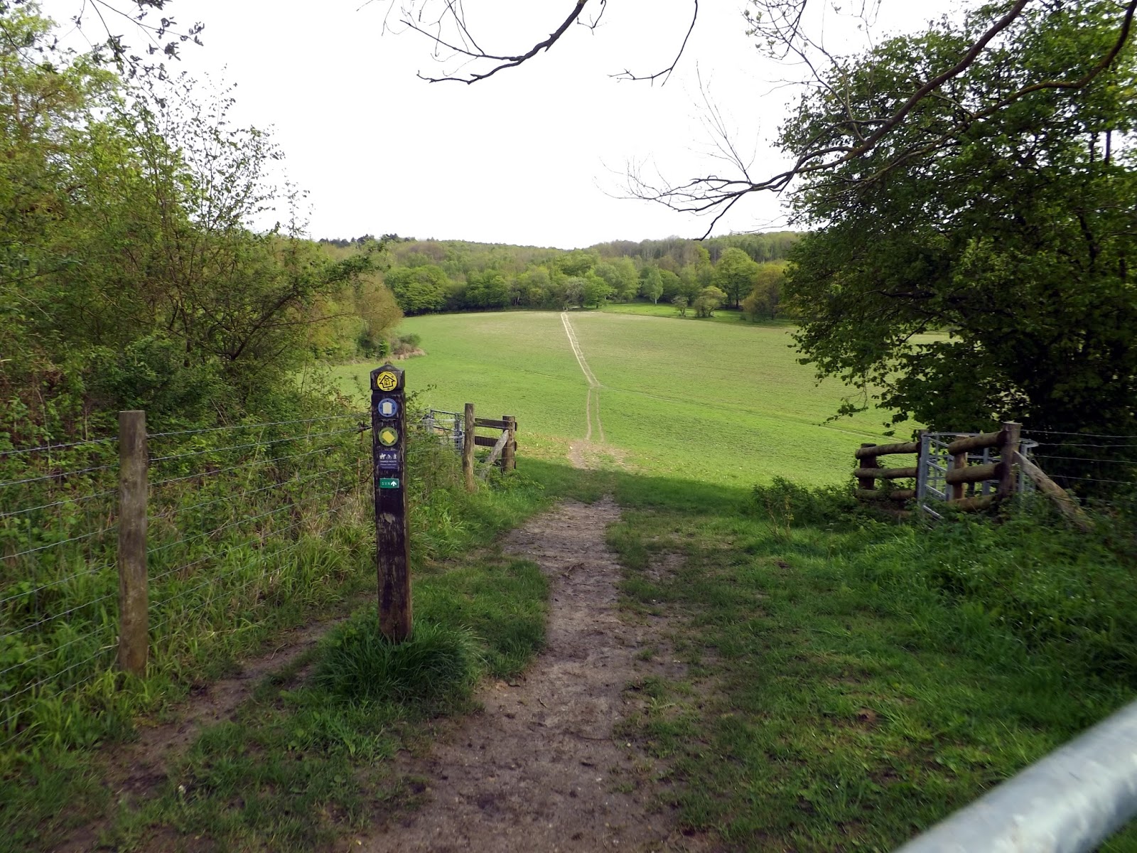 My Adventures 3: Cobham to Luddesdown Kent Circular walk 3rd May 2018