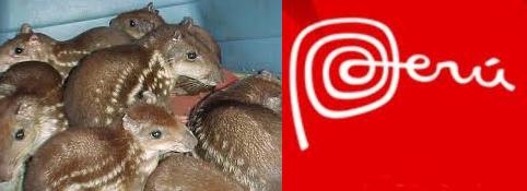 Rentabilidad del Majaz | MACU