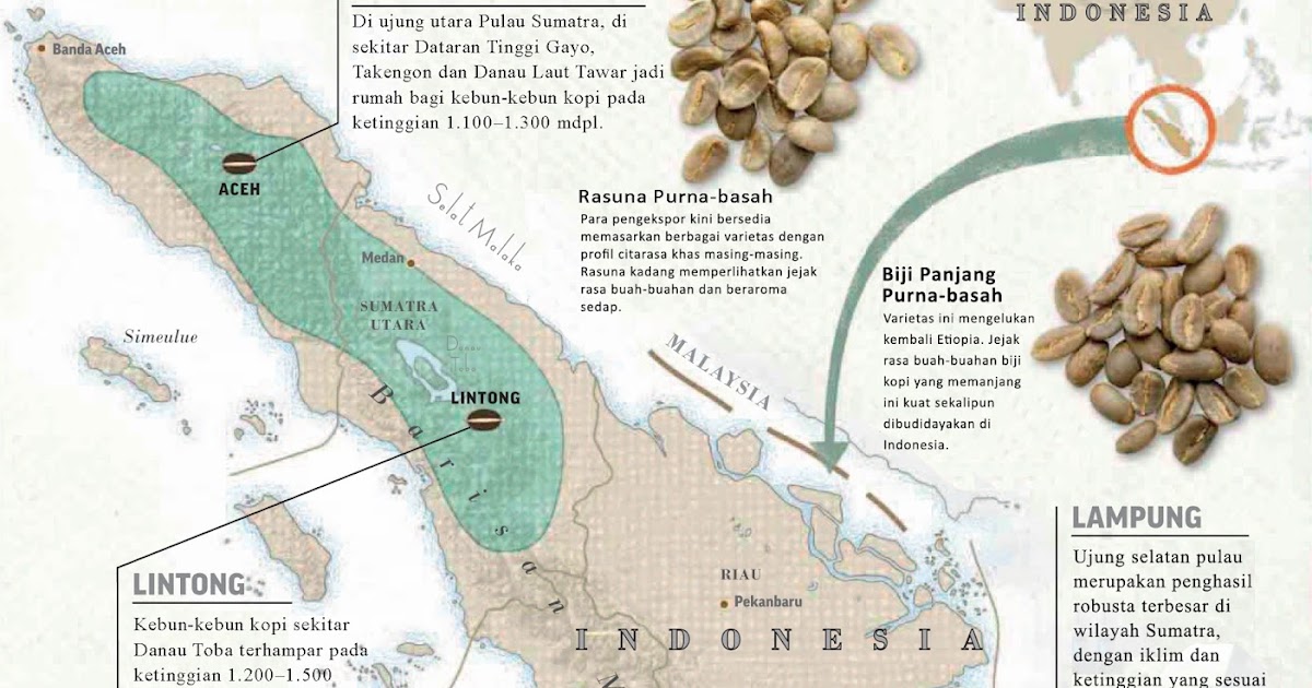 Sumatra: Citarasa Klasik Kopi Indonesia? - Faber et Coffea