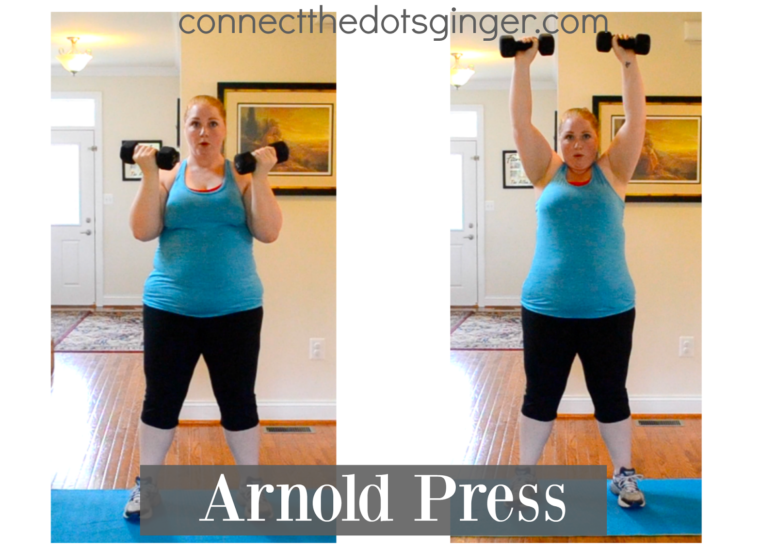 Connect the Dots Ginger | Becky Allen: Plus Size Fitness: Upper Body ...