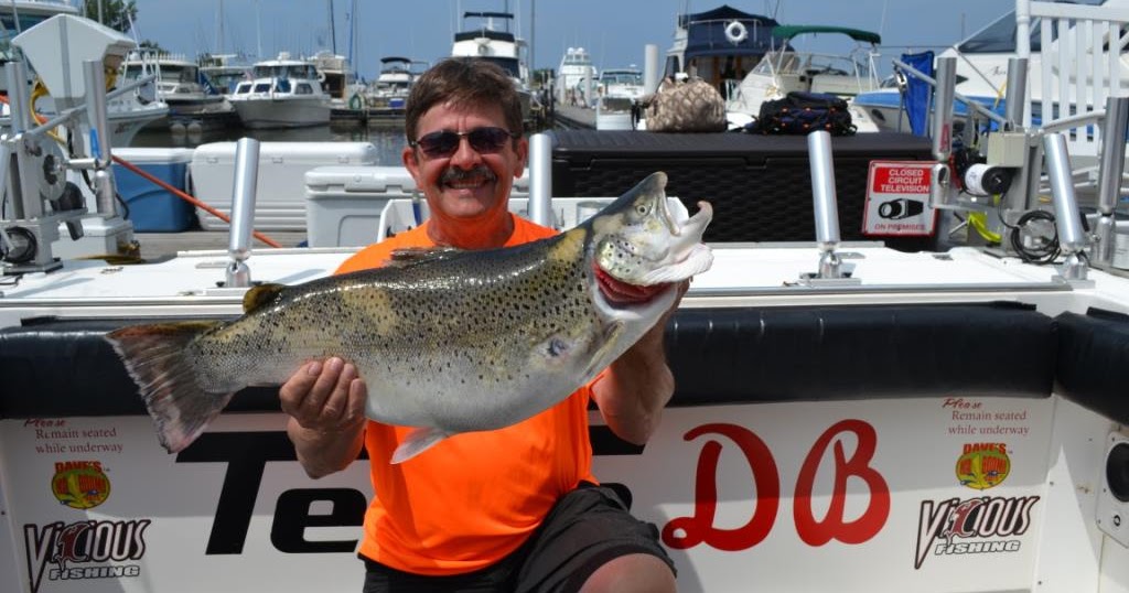 Ohio Fishing Source: New State Record Brown Trout