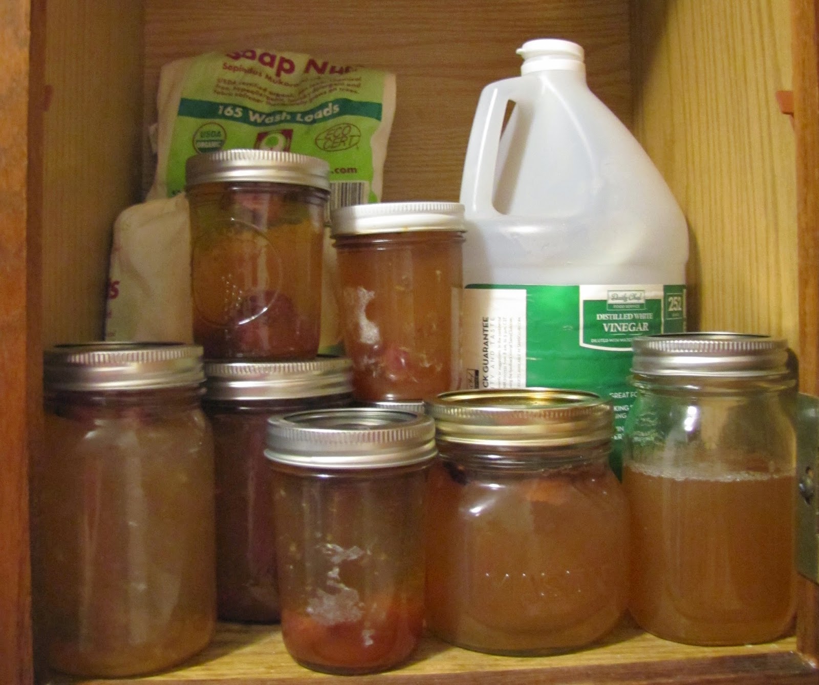 Intended Temple: Preserving Soap Nut Liquid