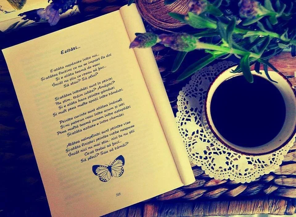 Citate din cartea Fluturi