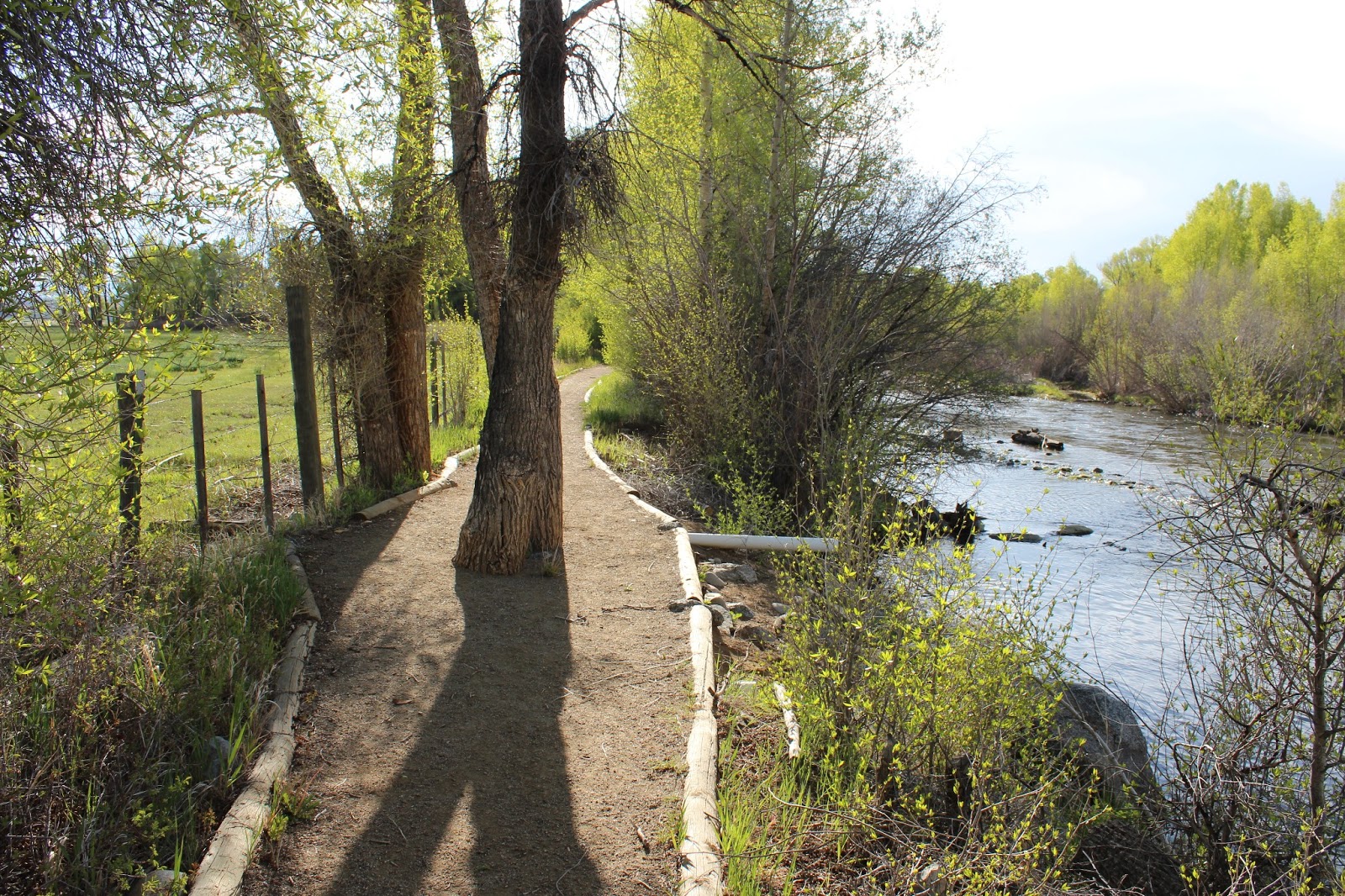 gjhikes.com: Neversink Trail
