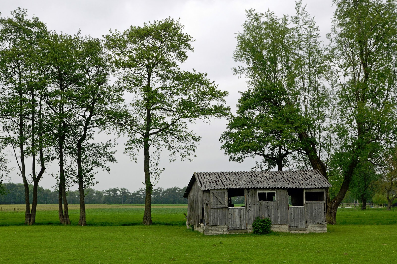 De Ontdekking van het Licht: Eenvoud