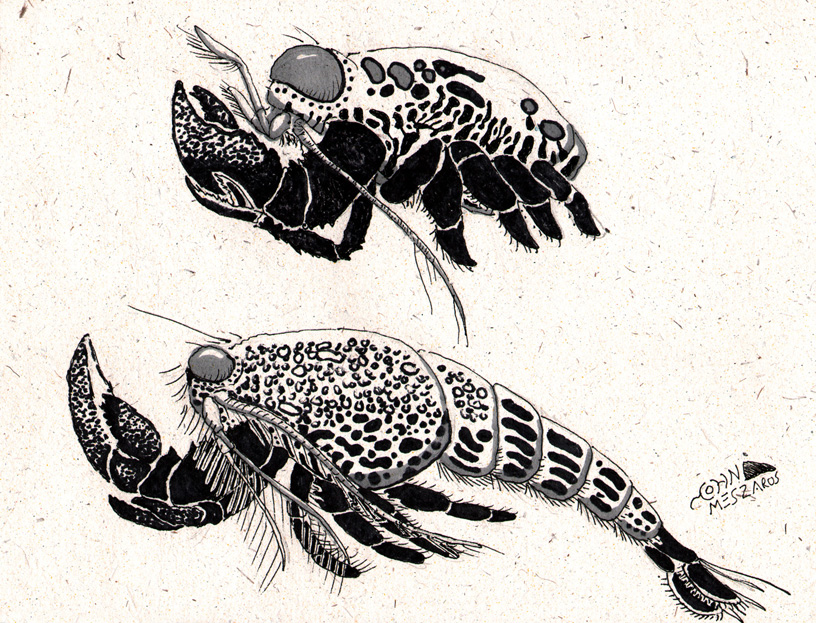 Cryptids State-by-State: Wallowa Lake Creatures- Oregon