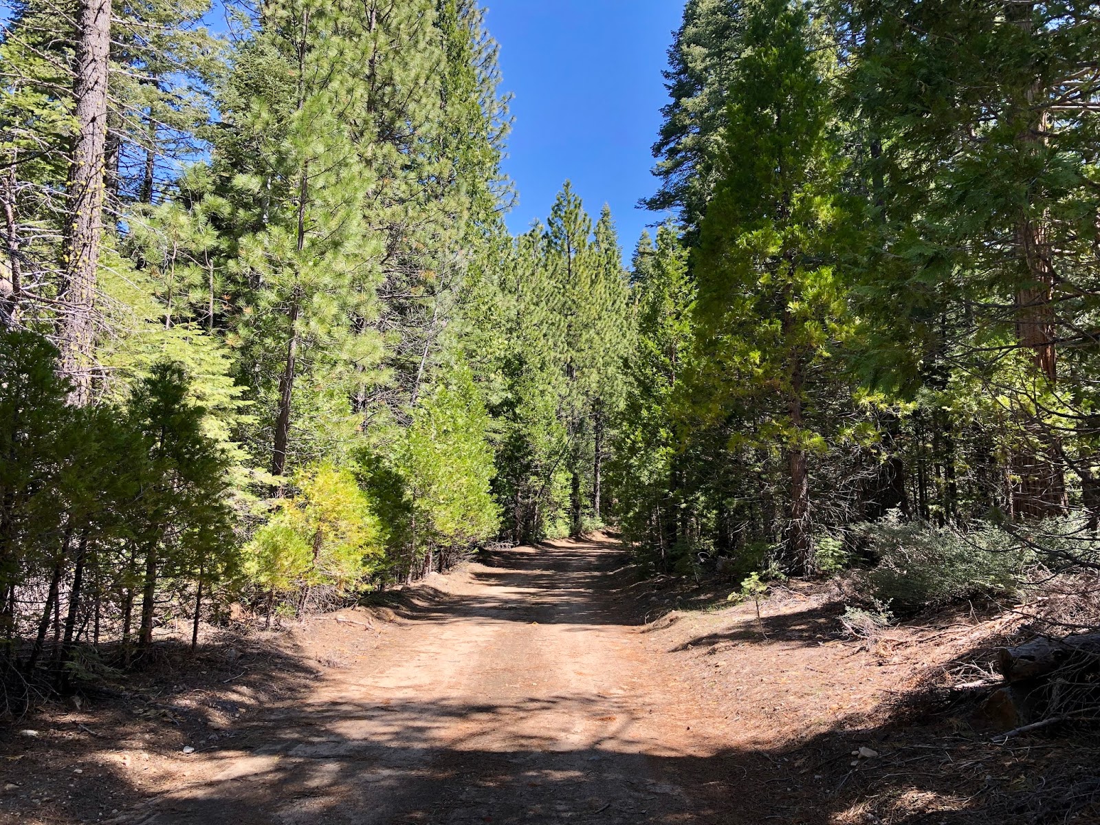 Crystal Basin Boondocking - Memorial Day 2020