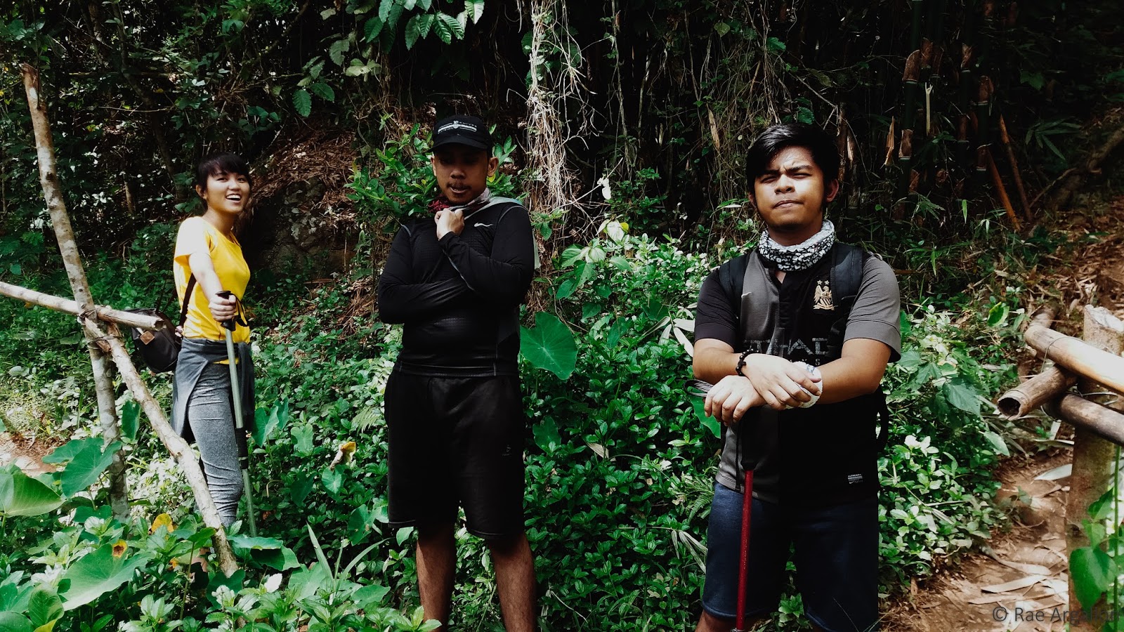 MT. MAYNOBA'S SEA OF CLOUDS — RAESCAPE