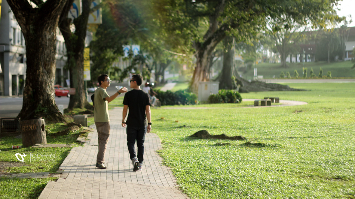 qidr.an ©: Borneo trip 2013 | Kuching pt VI : Giant Kekabu Tree