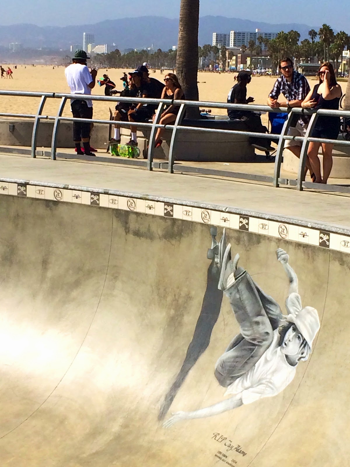 Blogtown: Venice Celebrates The Life Of Jay Adams