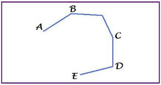 Studiamo le formule!: Poligoni