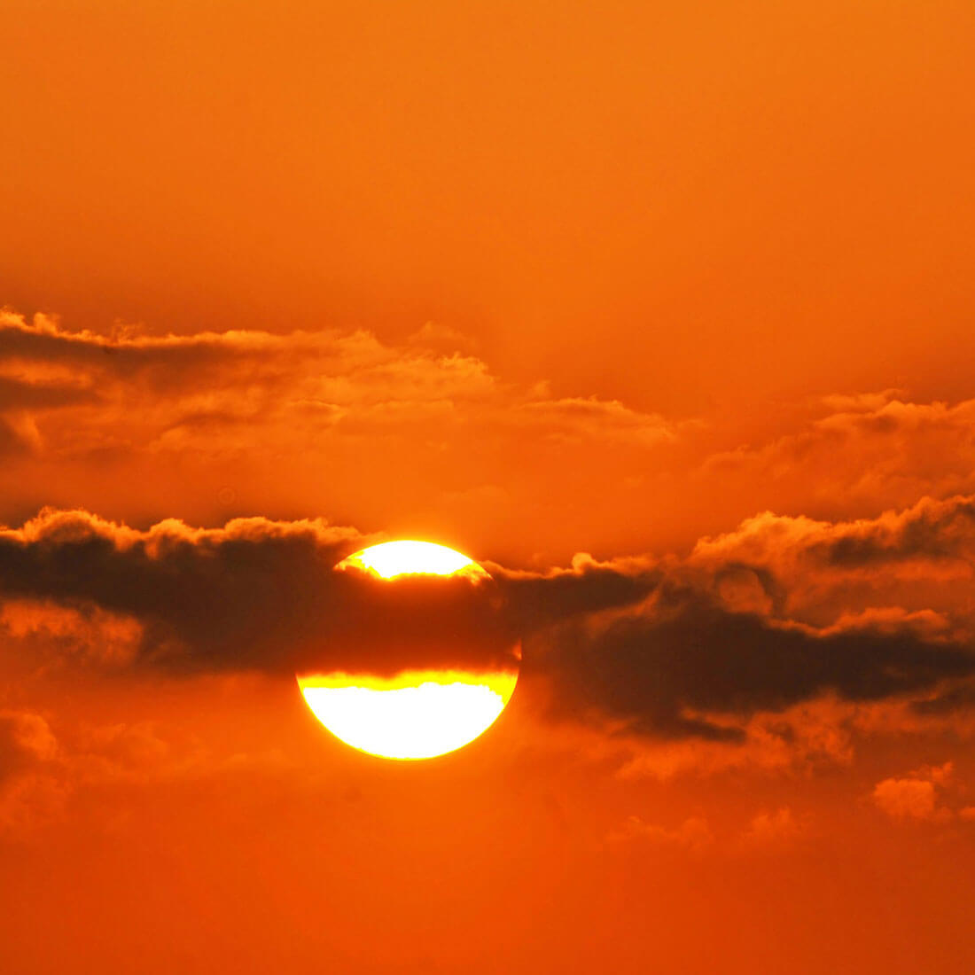 Happy APPS: Orange Live Wallpaper