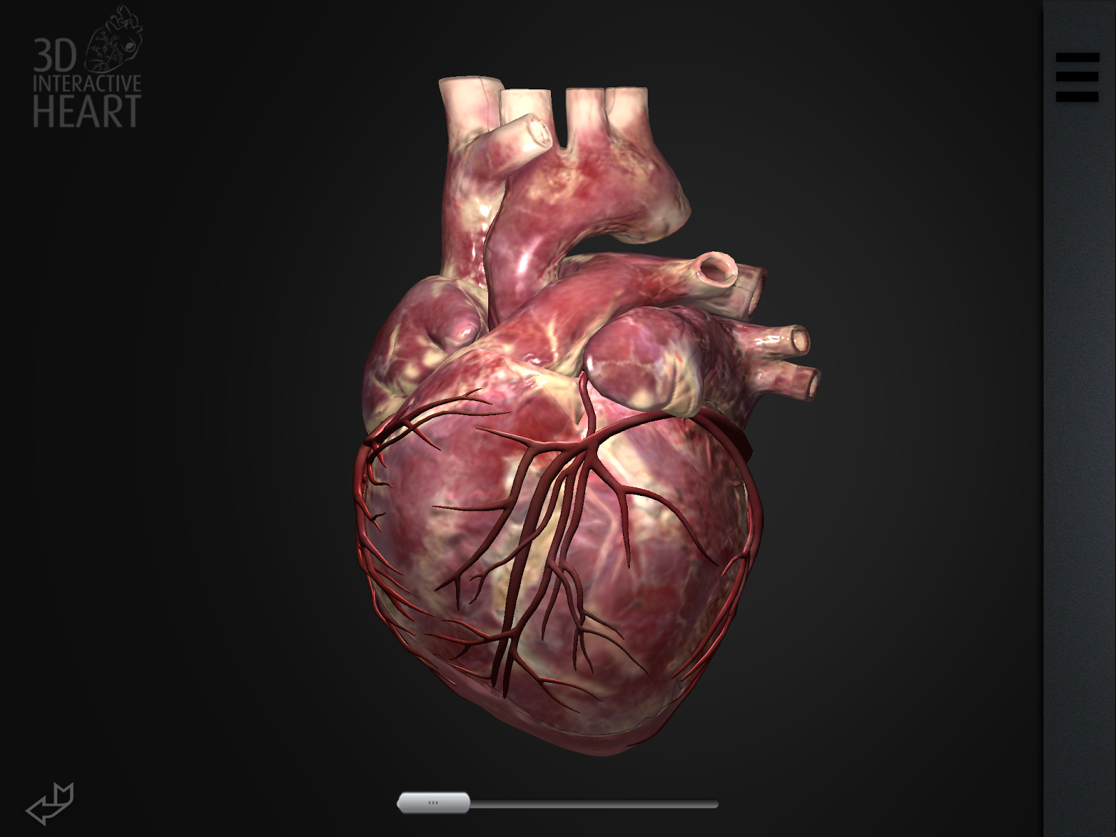 iPhone SDK: 3D Interactive Heart