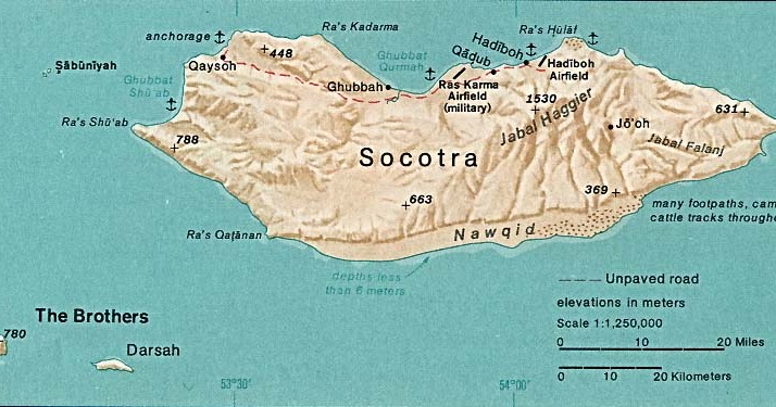 SOCOTRA, AN ALIENATED ISLAND | Travel Maniac